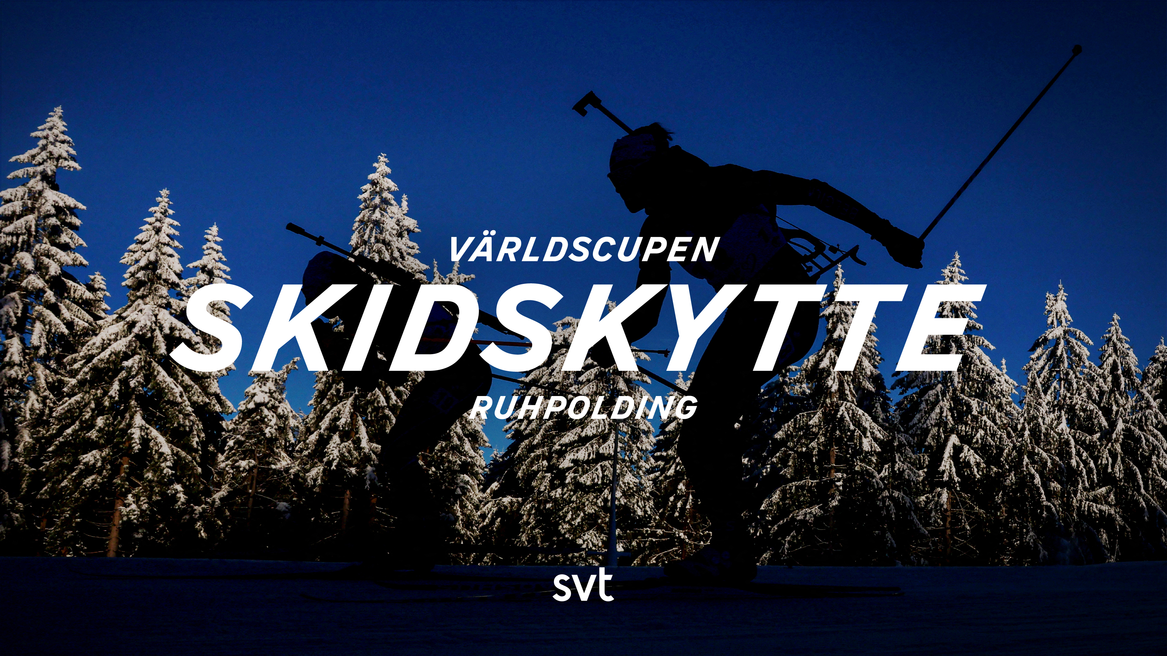Skiskydning: VM
